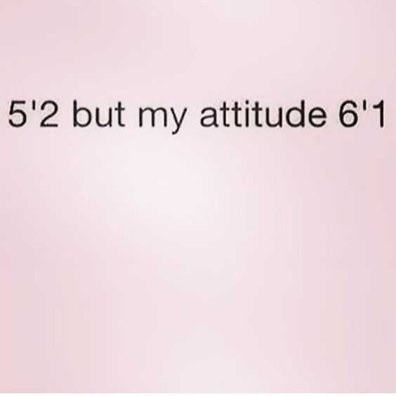 21 Snappy And Funny Quotes | The Funny Beaver