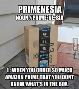 30 Funny Amazon Memes That Are Pretty Prime | The Funny Beaver