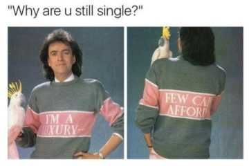 71 Hilarious Memes About Single Life So You Feel Better