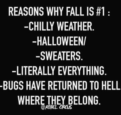 21 Fall Memes For Those Obsessed With Fall | The Funny Beaver