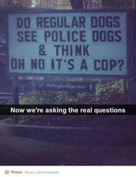 36 VERY Funny Pictures You Will Enjoy.