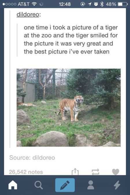 39 Really Funny Pictures