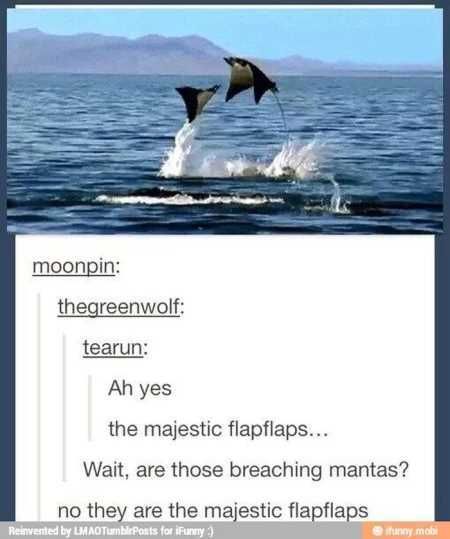 Funny Pics With Captions