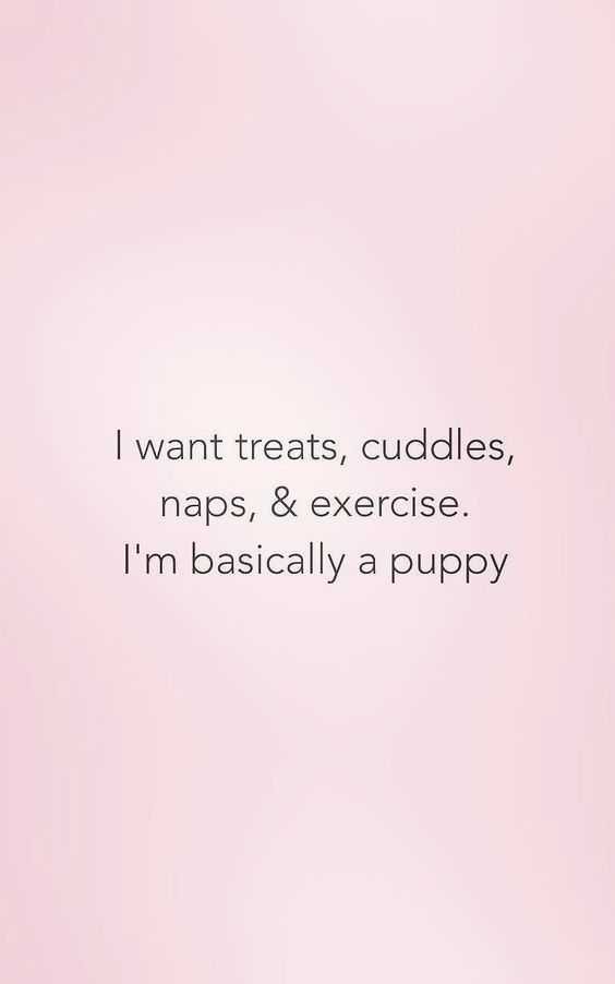 22 Funny Quotes That Will Make You Laugh | The Funny Beaver