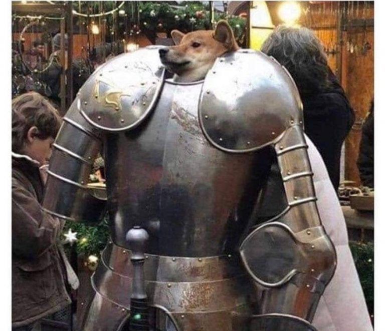 30 Adorable Dog Memes To Laugh At