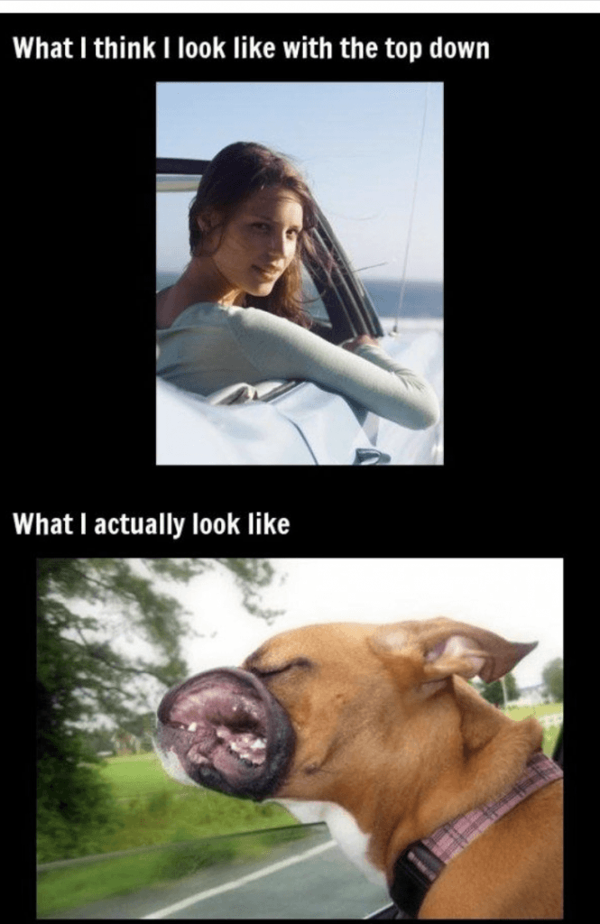 30 Funny Expectations Vs. Reality Memes 30 Funny Expectation