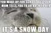 43 Snow Day Memes Because It's A Fricking Blizzard Out There
