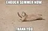 20 Summer Memes To Laugh At