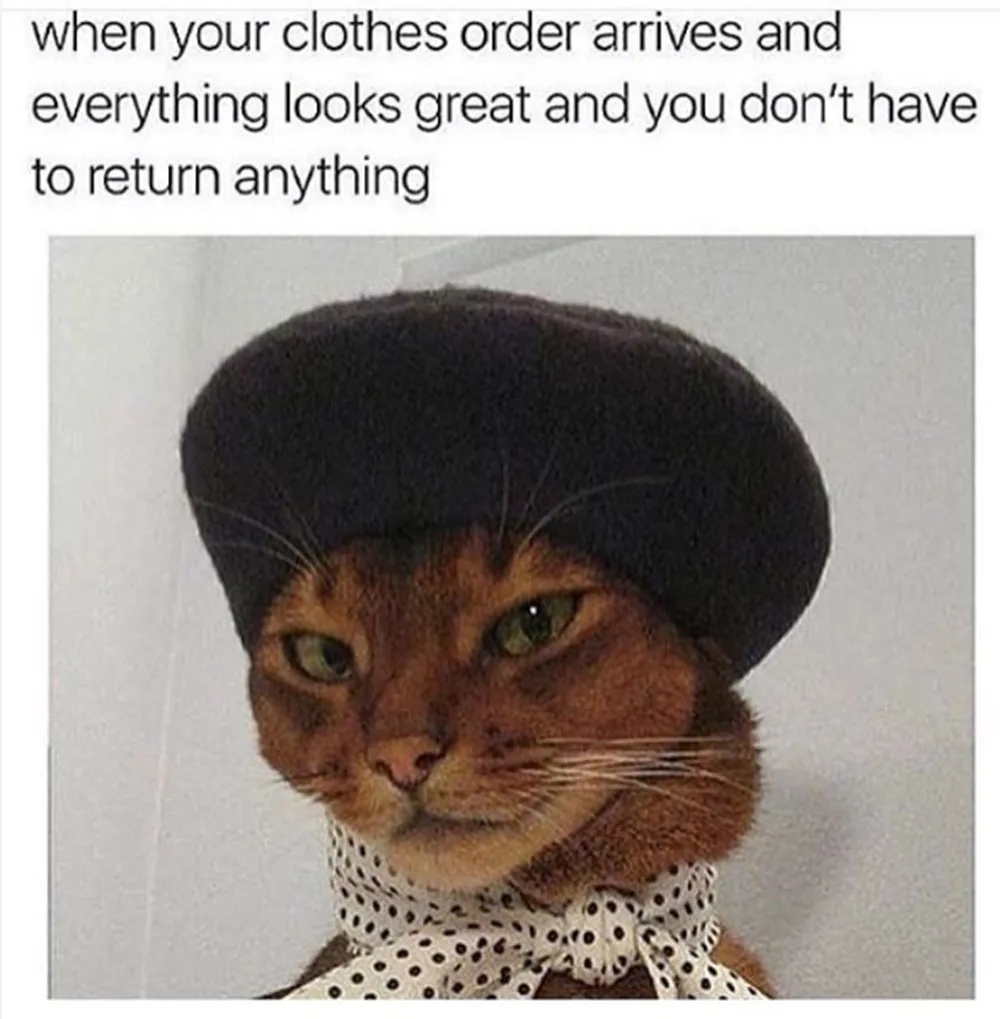 20 Hilarious Fashion Memes