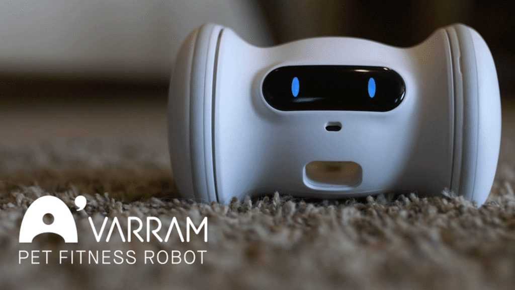 Entertain And Exercise Your Pet With Robotic Vacuum Varram