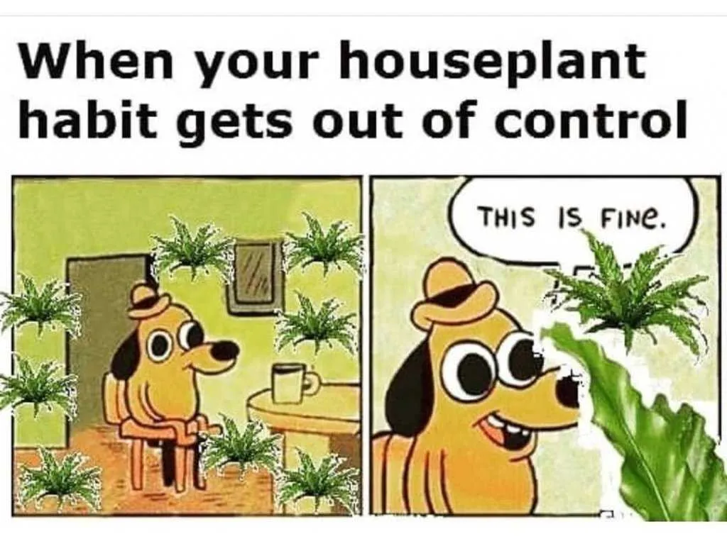 30 Home Gardening Memes For A Good Thyme | The Funny Beaver