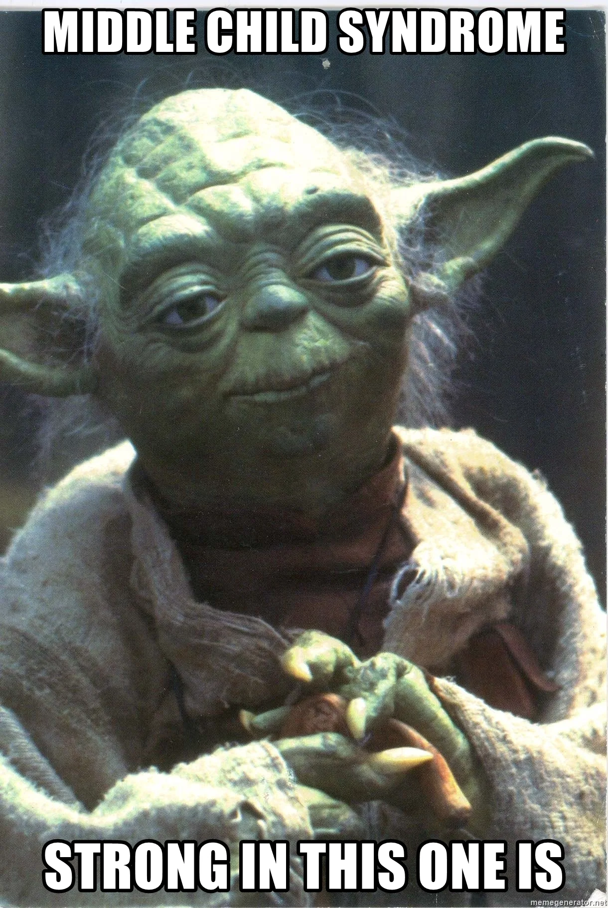 21 Middle Child Memes For Everyone Who Has Middle Child Syndrome