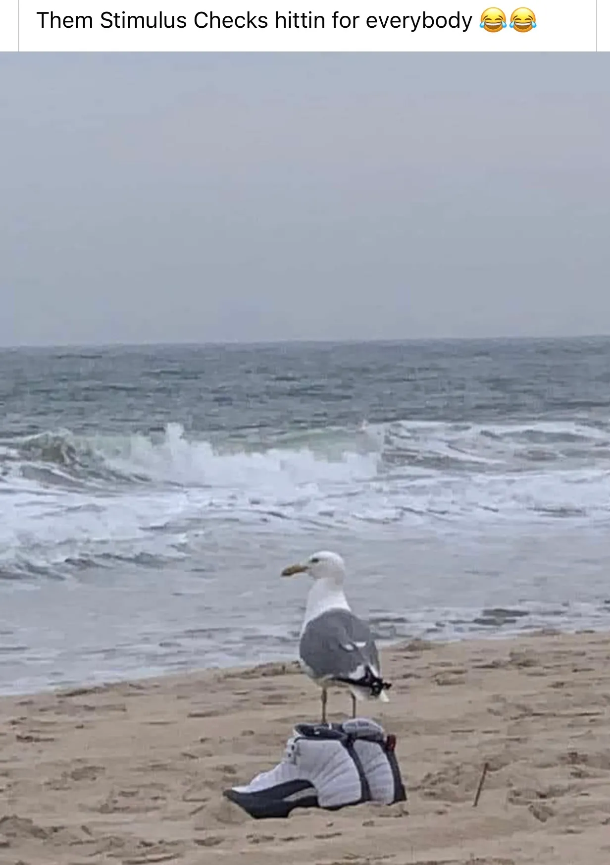 24 Funny Beach Memes Because It's That Time