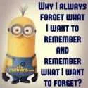 21 Funny Minion Pictures With Sayings You'll Love
