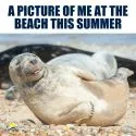24 Funny Beach Memes Because It's That Time