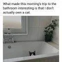 30 Hilarious Cat Memes To Brighten Your Day