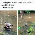 30 Hilarious Turtle Memes You Never Knew You Needed