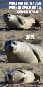 28 Cute And Funny Animal Pictures For An Aww Moment