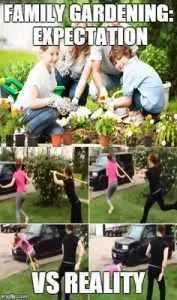 30 Home Gardening Memes For A Good Thyme | The Funny Beaver