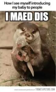 59 Hilarious Pregnancy Memes That Any Parent-to-Be Can Appreciate