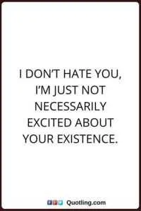 38 Pretty Hilarious Quotes