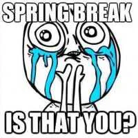 32 Funny Spring Break Memes | The Funny Beaver