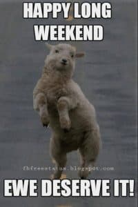 20 Funny Long Weekend Memes