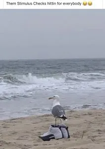 24 Funny Beach Memes Because It's That Time