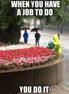 32 Funny Pictures That Will Make You Feel Something