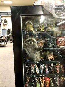 30 Of The Best Context-Free Pics For Your Entertainment