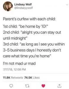 14 Funny Parenting Memes For The 2nd Or 3rd Kid