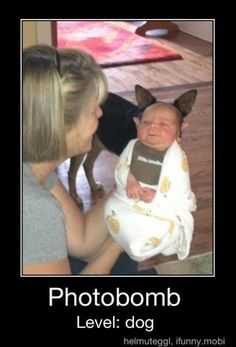 24 Just Plain Funny Pictures