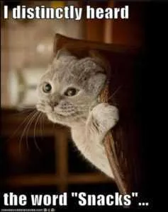 37 Hilarious Food Memes For Anyone Who Just Wants To Eat Everything