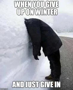 20 Winter Fun Memes To Laugh At