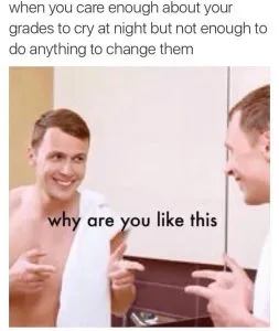 30 Random Memes That Are Too Funny To Categorise