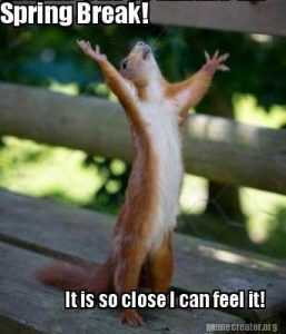 32 Funny Spring Break Memes | The Funny Beaver