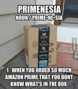 30 Funny Amazon Memes That Are Pretty Prime | The Funny Beaver