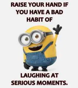 39 Of The Best Minion Memes | The Funny Beaver