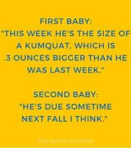 14 Funny Parenting Memes For The 2nd Or 3rd Kid