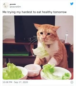 30 Sizzling Food Memes To Share With A Foodie