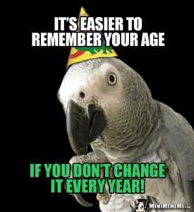 36 Funny Bird Memes