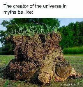 30 Hilarious Turtle Memes You Never Knew You Needed