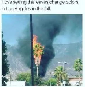 30 Funny Wildfire Memes That Will Burn A Hole In Your Retina