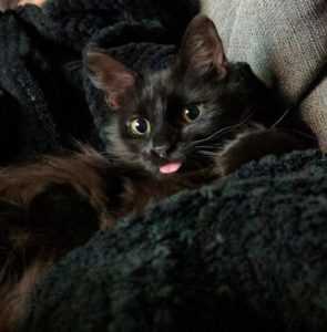 21 Unbelievably Cute Animals