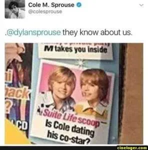 20 Funny Hilarious Memes For Cats, Life, Movies, And More