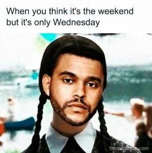 30 Hilarious Wednesday Memes