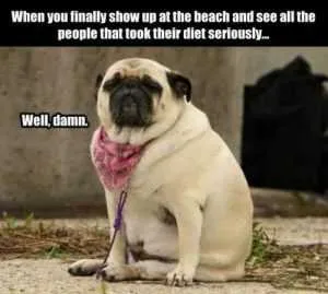 37 Funny Pictures That Will Make You Laugh.