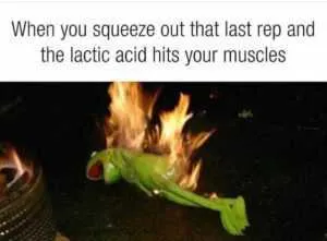 35 Hilarious Workout Memes For Gym Days | The Funny Beaver