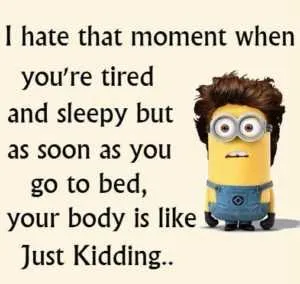 39 Of The Best Minion Memes | The Funny Beaver