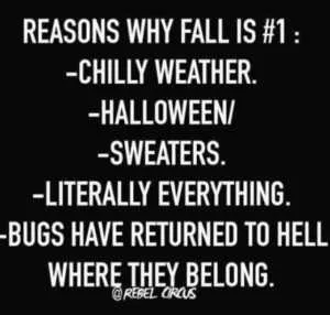 21 Fall Memes For Those Obsessed With Fall | The Funny Beaver